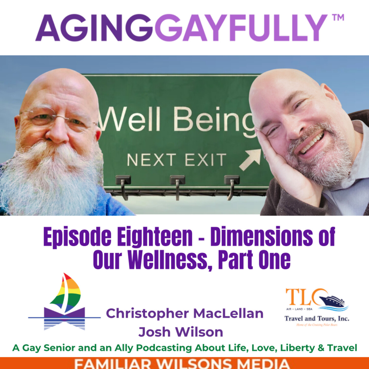 AgingGayfully™ Dimensions of Our Wellness, Part One - AgingGayfully ...