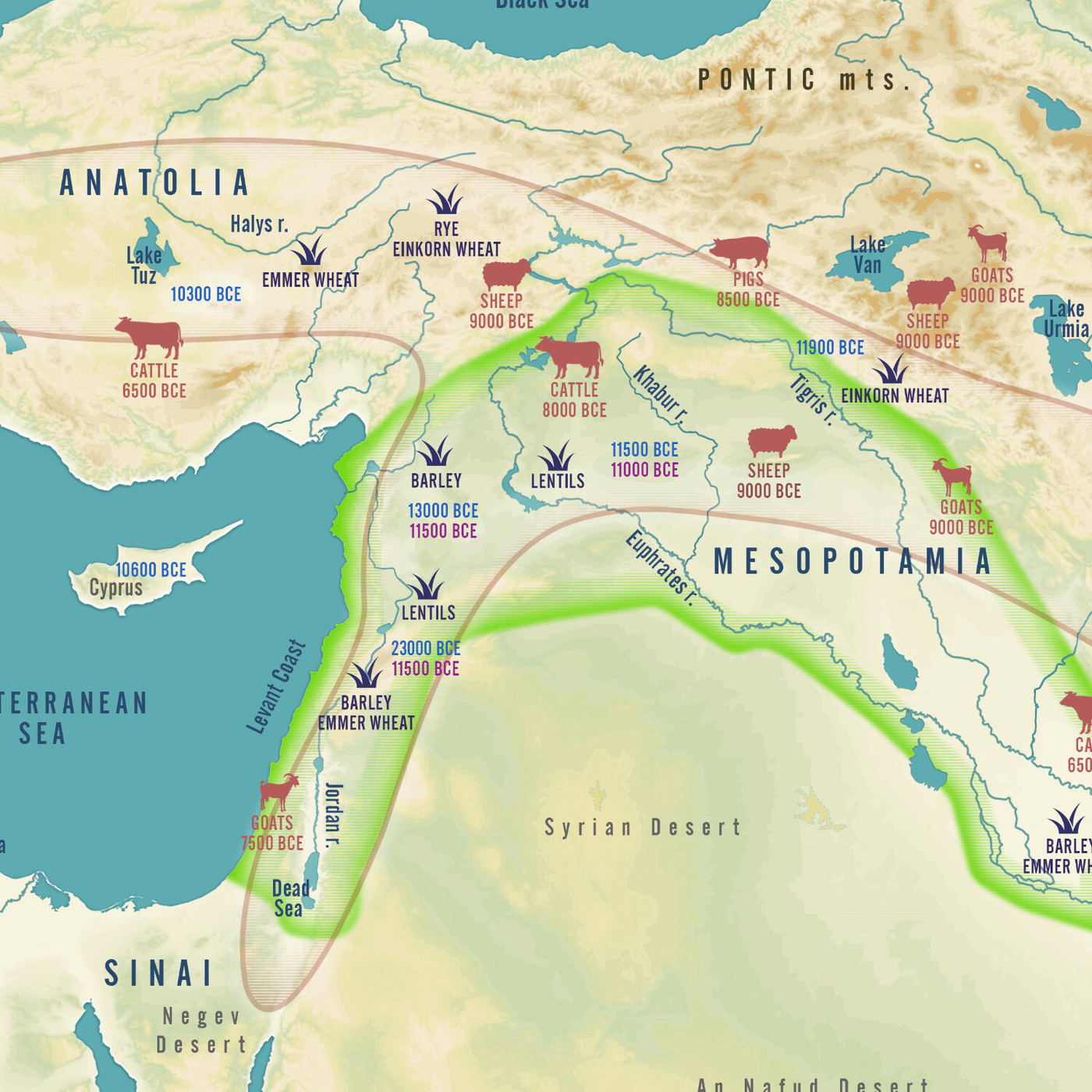Agriculture in the Fertile Crescent & Mesopotamia - World History ...