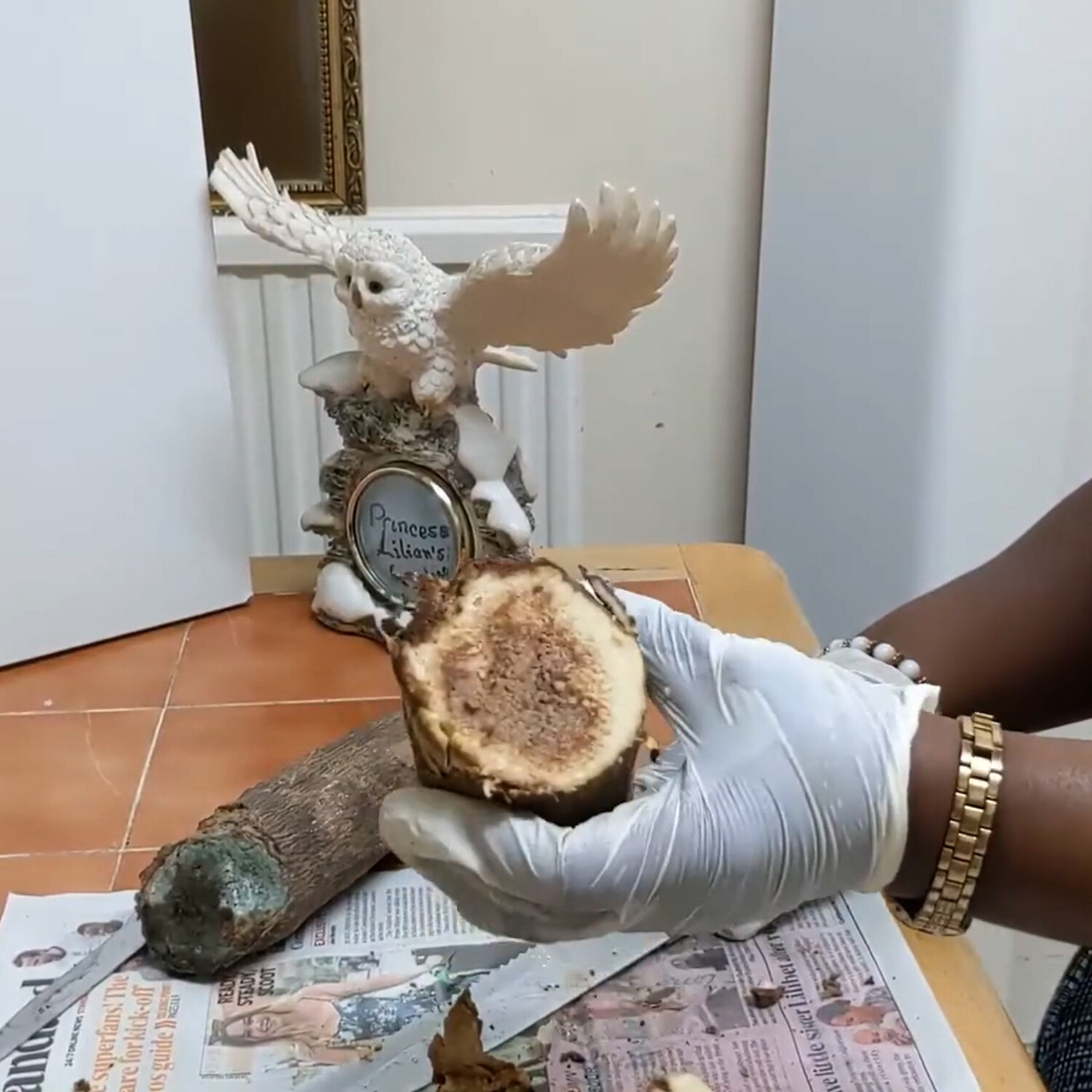 Ministry of Agriculture hosts farmers meetings on Yam Rust Disease ...