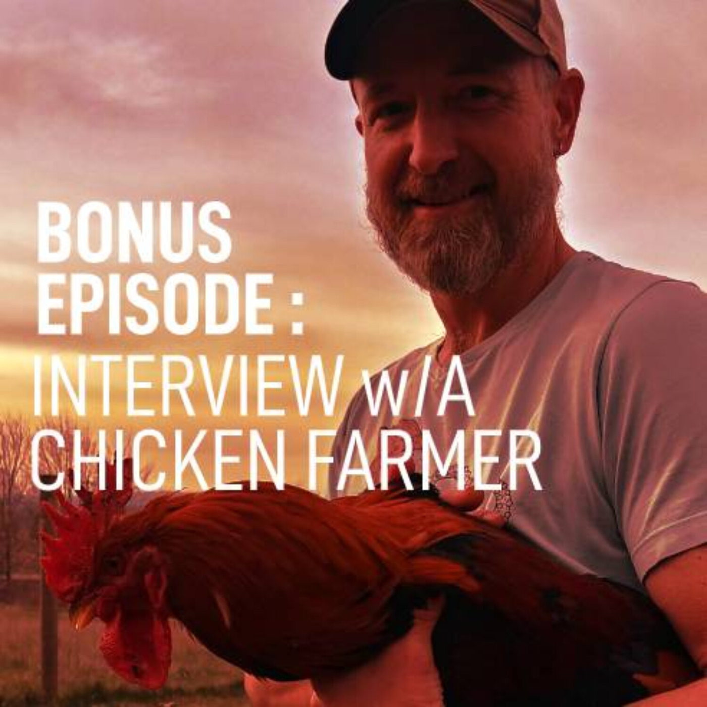The Kundalini of Chickens - Bonus Interview - Food Slain - Podcast.co