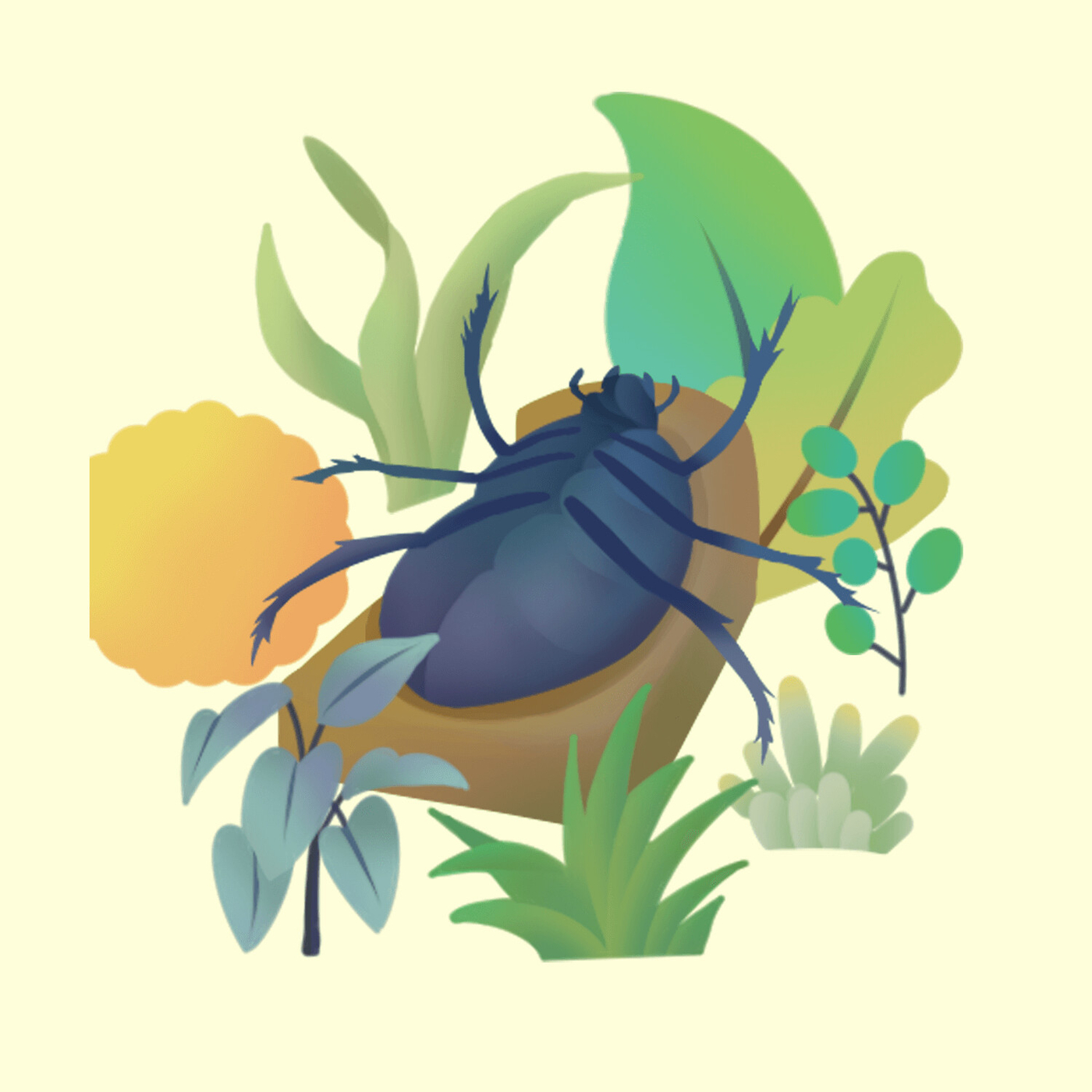 The Metamorphosis Book Introduction And Review - the Bestsellers ...