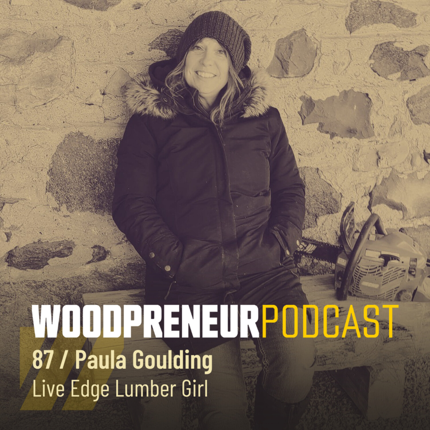 Paula Goulding: Live Edge Lumber Girl - The Woodpreneur Podcast ...