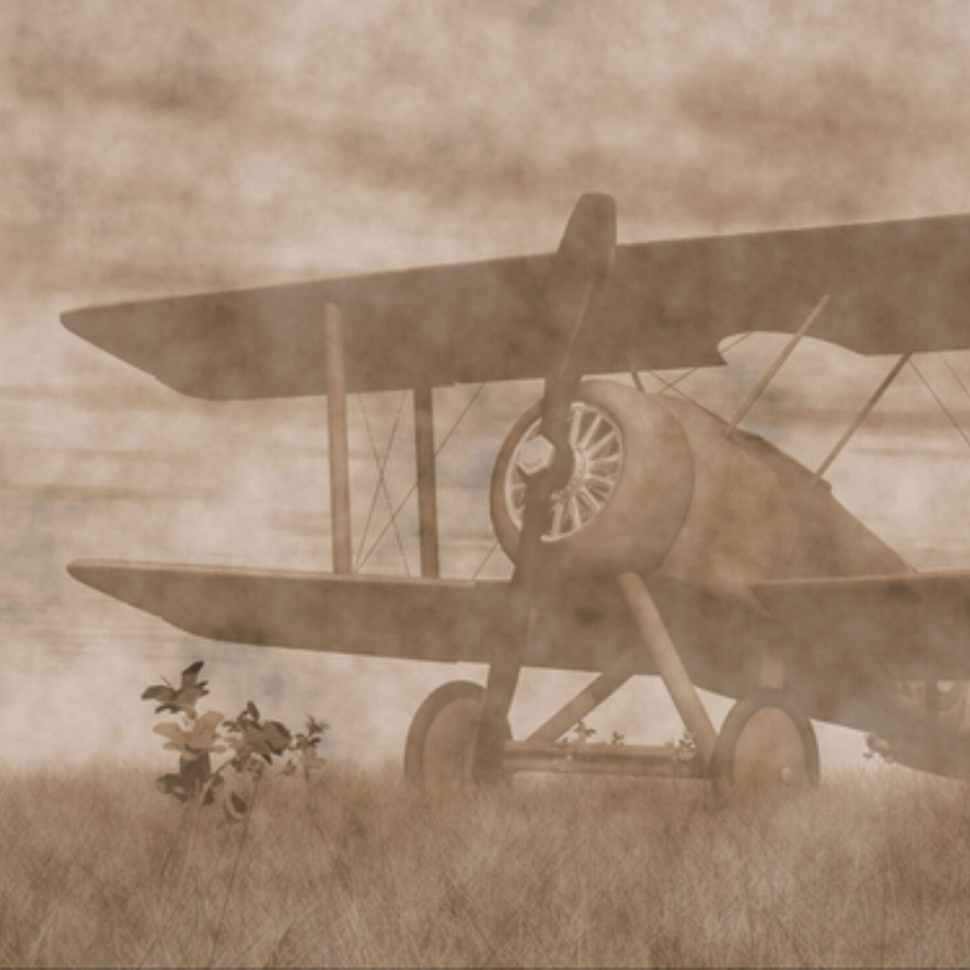 Trilogy of famous failures in History: The Wright Brothers’ - Mental ...