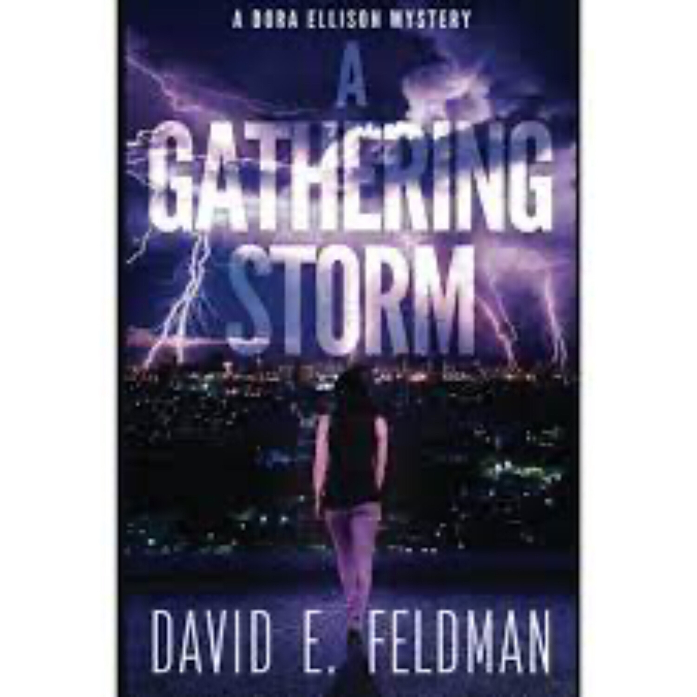 DAVID E. FELDMAN, Author/Musician/Painter (1-25-23) - Impact Radio USA ...