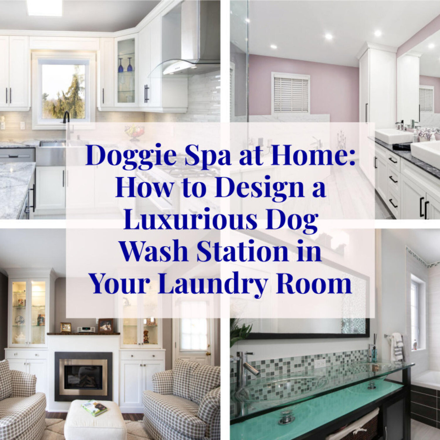Doggie Spa at Home: How to Design a Luxurious Dog Wash Station in Your ...