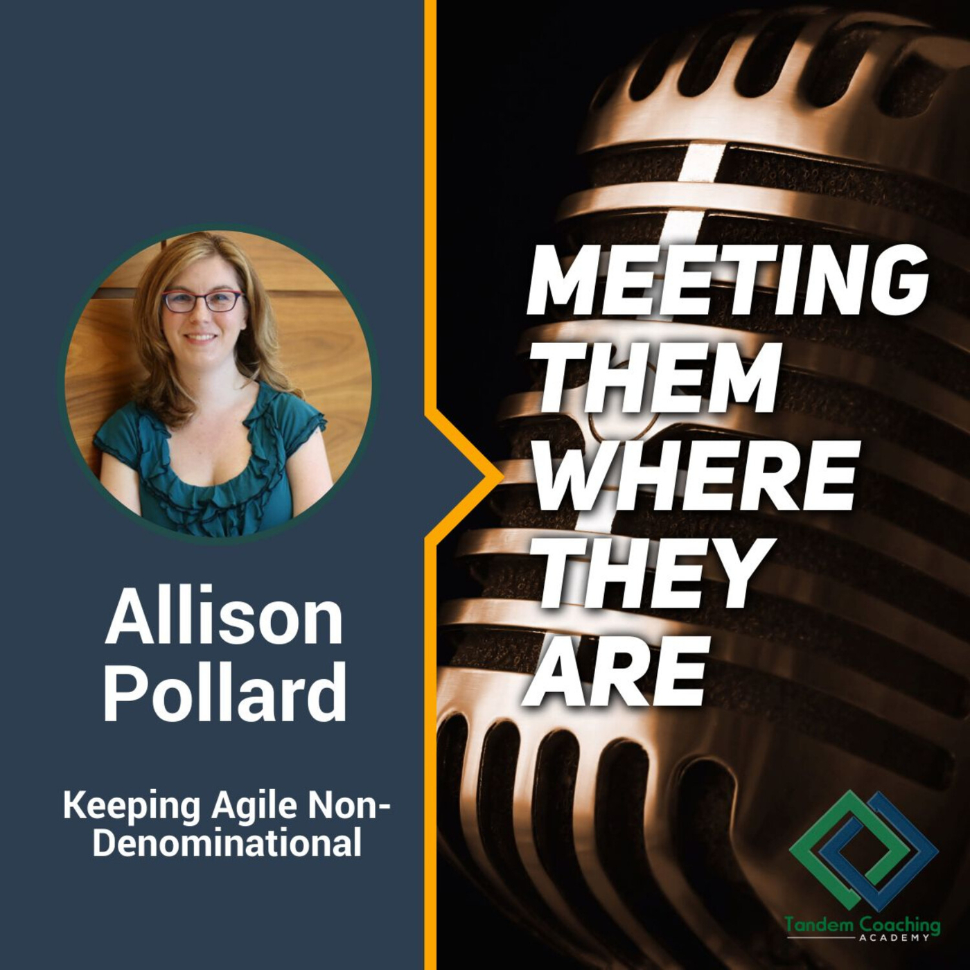 Meeting Them Where They Are with Allison Pollard - Bridging Agile and ...