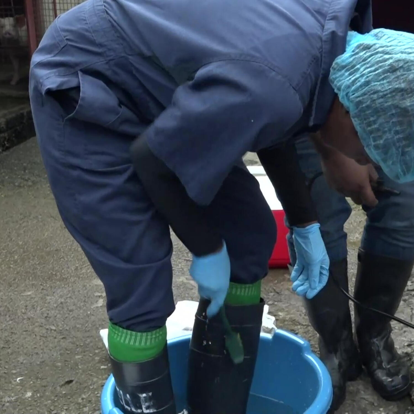 Mock ASF Simulation Exercise - Government of Saint Lucia - Podcast.co