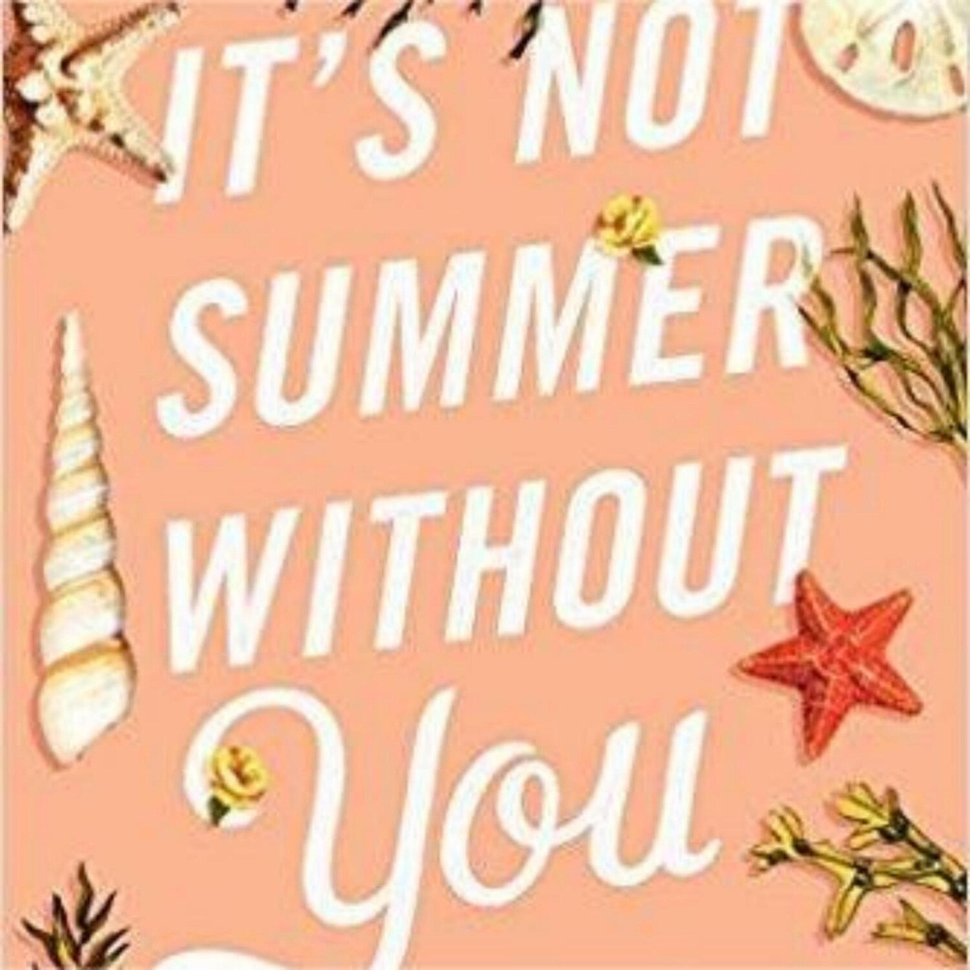 It's Not Summer Without You: A Summary in Brief - the Bestsellers ...