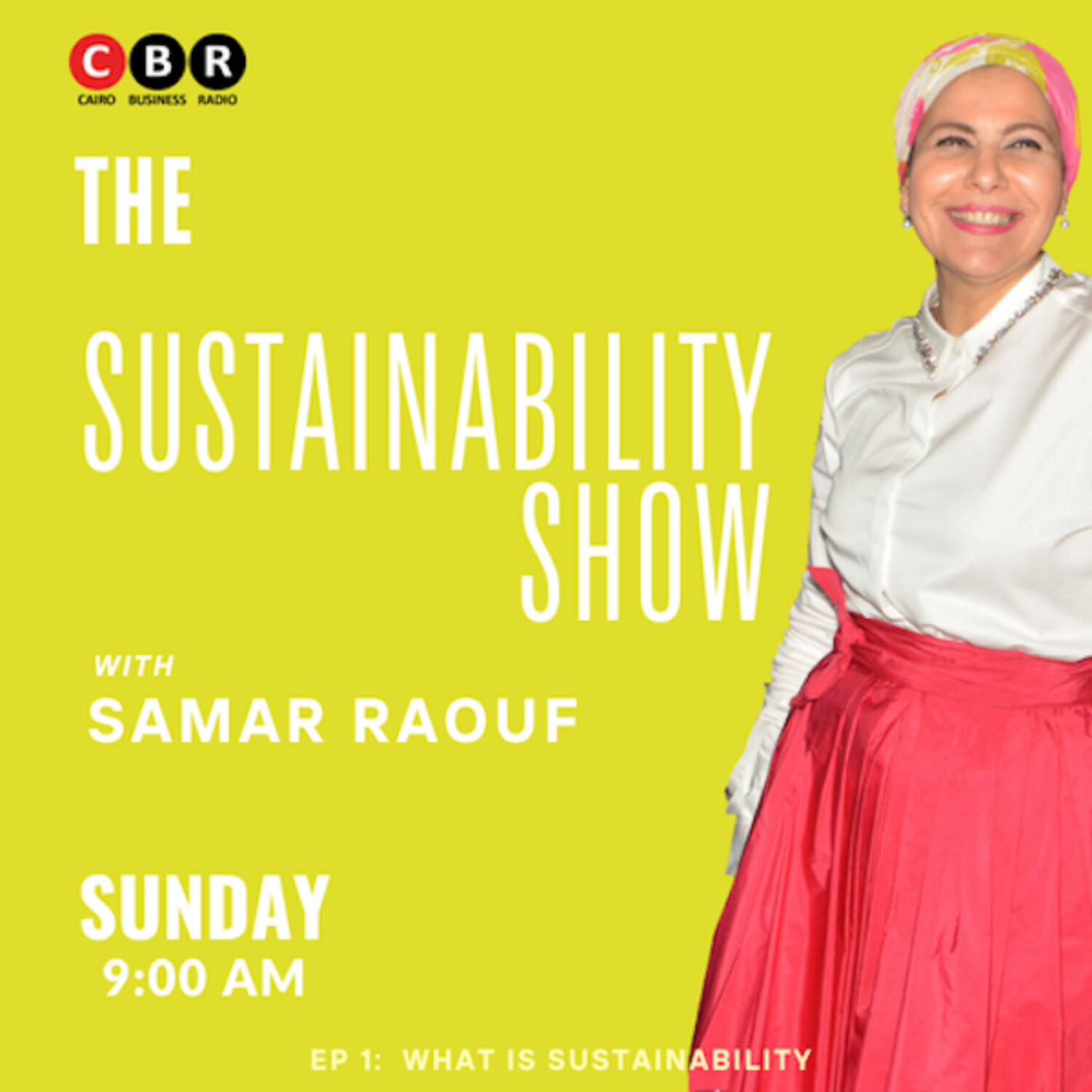 The Sustainability Show - Podcast.co