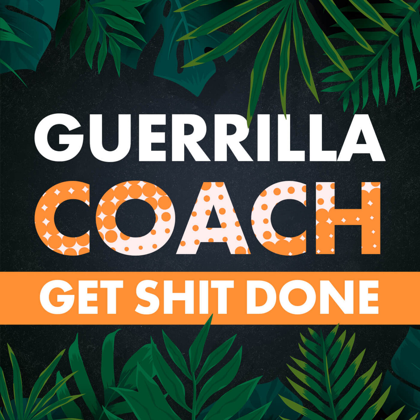 Guerrilla Coach Podcast - Podcast.co
