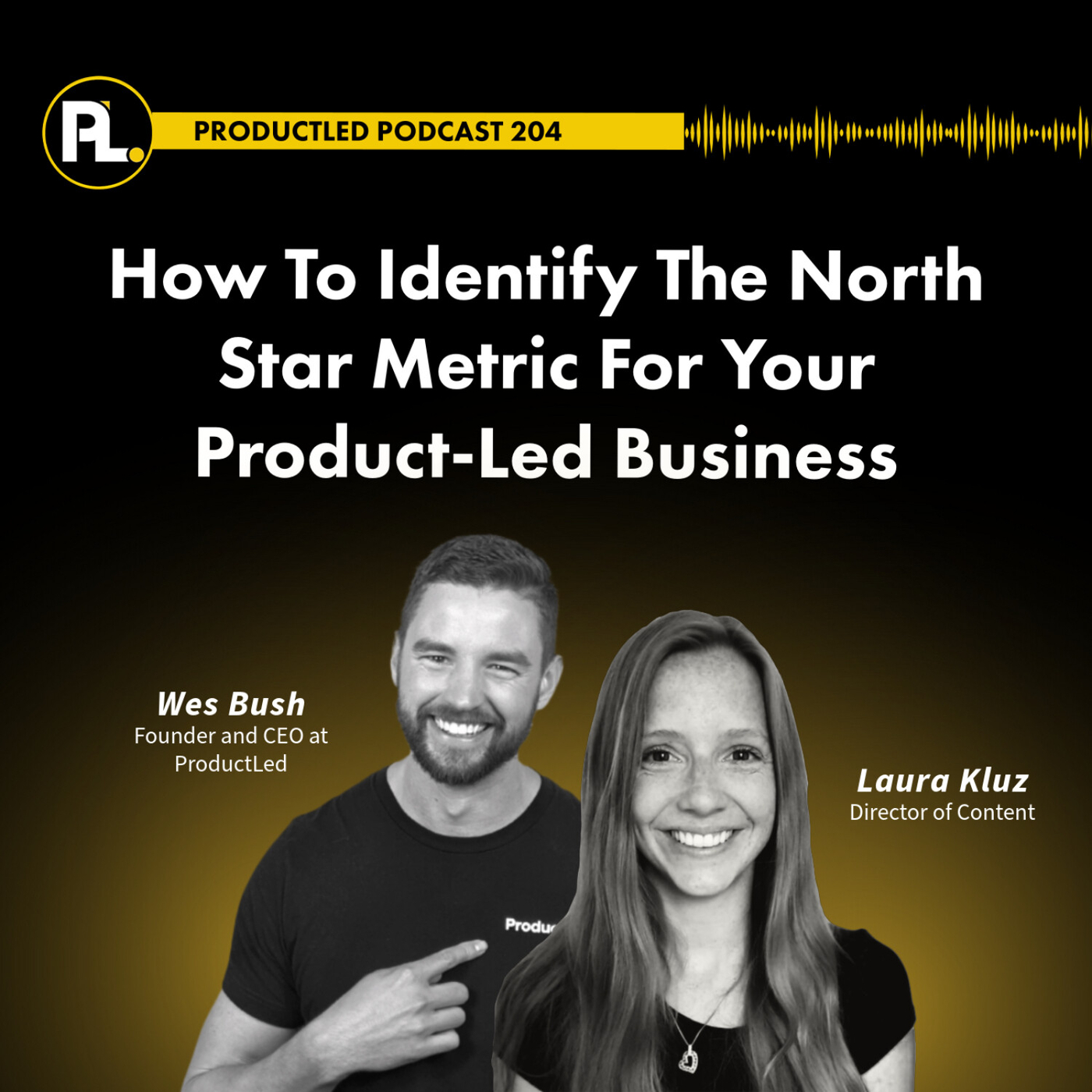 How To Identify The North Star Metric For Your Product-Led Business - ProductLed Podcast ...